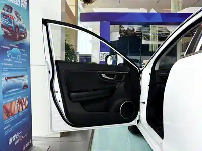 奔腾B50 2016款 1.6L 自动豪华型 奔腾 8/18张图片大全_汽车座椅图库-汽车之家