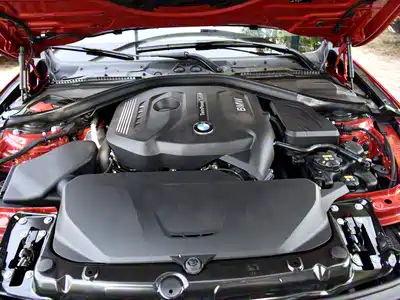 宝马3系 2018款 320Li M运动曜夜版 宝马 4/47张图片大全_汽车细节图库-汽车之家