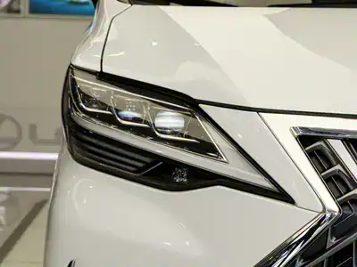 雷克萨斯LM 2020款 300h 七座隽雅版 雷克萨斯 12/55张图片大全_汽车细节图库-汽车之家