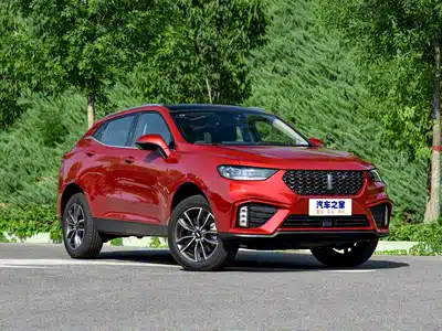 魏牌 VV5 2020款 1.5T 两驱智先锋 魏牌 17/29张图片大全_汽车外观图库-汽车之家