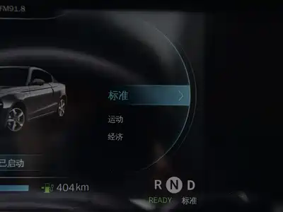 零跑S01 2020款 460 Pro 零跑汽车 18/46张图片大全_汽车内饰图库-汽车之家