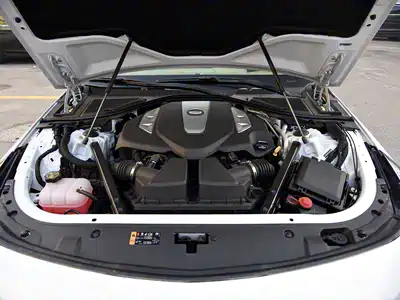 凯迪拉克CT6 2019款 40T 铂金版 凯迪拉克 2/63张图片大全_汽车细节图库-汽车之家