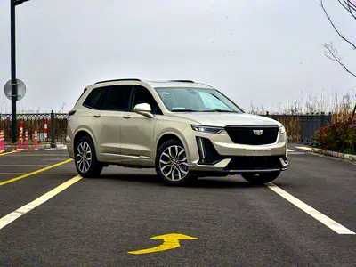凯迪拉克XT6 2021款 2.0T 六座四驱铂金型 凯迪拉克 3/8张图片大全_汽车外观图库_琉璃金-汽车之家