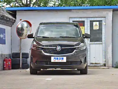 别克GL8 2020款 陆上公务舱 652T 尊贵型 别克 2/7张图片大全_汽车外观图库_牛津棕-汽车之家