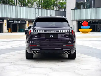 领克09 2021款 2.0T Ultra 六座 领克 6/8张图片大全_汽车外观图库_紫-汽车之家