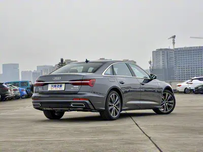 奥迪A6L 2021款 45 TFSI 进享人生版 奥迪 7/7张图片大全_汽车外观图库_天云灰-汽车之家