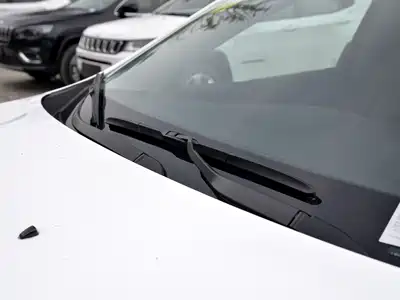 自由光 2020款 2.0T 四驱夜鹰版 Jeep 25/105张图片大全_汽车细节图库-汽车之家