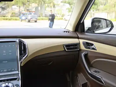 猎豹CS9新能源 2018款 EV300 精英版 猎豹汽车 4/90张图片大全_汽车内饰图库-汽车之家