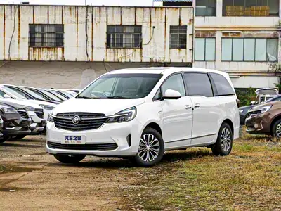 别克GL8 2021款 陆上公务舱 652T 尊贵型 别克 1/7张图片大全_汽车外观图库_雪域白-汽车之家