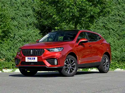 魏牌 VV5 2020款 1.5T 两驱智先锋 魏牌 1/29张图片大全_汽车外观图库-汽车之家