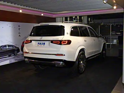 迈巴赫GLS 2021款 GLS 480 4MATIC 奔驰 4/4张图片大全_汽车外观图库_北极白-汽车之家