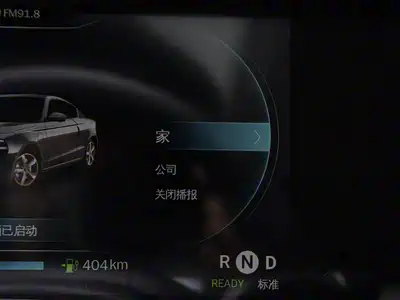 零跑S01 2020款 460 Pro 零跑汽车 17/46张图片大全_汽车内饰图库-汽车之家