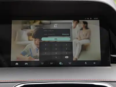 零跑S01 2020款 460 Pro 零跑汽车 26/46张图片大全_汽车内饰图库-汽车之家