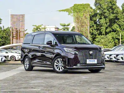 别克GL8 2023款 Avenir艾维亚 七座亲礼版 别克 3/7张图片大全_汽车外观图库_秋山红-汽车之家