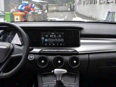 猎豹CS10 2019款 2.0T 自动驾悦版 猎豹汽车 3/69张图片大全_汽车内饰图库-汽车之家