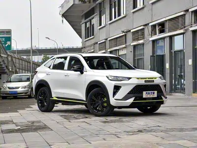 哈弗H6S 2022款 2.0T 两驱悦跑版 哈弗 3/7张图片大全_汽车外观图库-汽车之家