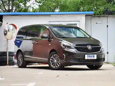 别克GL8 2020款 陆上公务舱 652T 尊贵型 别克 3/7张图片大全_汽车外观图库_牛津棕-汽车之家