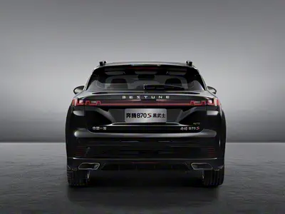 奔腾B70S 2022款 黑武士共创版 2.0T 战神天王 奔腾 6/14张图片大全_汽车外观图库-汽车之家