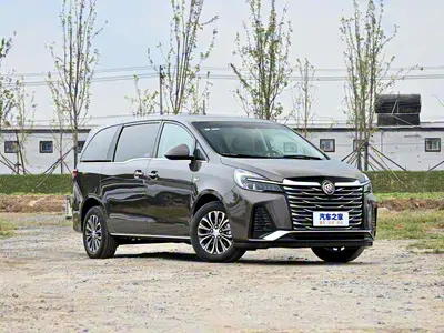 别克GL8 2023款 陆上公务舱 尊贵型 别克 11/32张图片大全_汽车外观图库-汽车之家