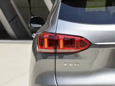 魏牌 VV6 2021款 2.0T 两驱智行+ 魏牌 38/168张图片大全_汽车细节图库-汽车之家