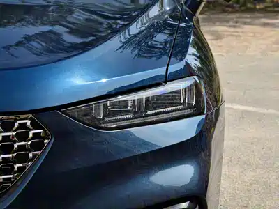 魏牌 VV7 2021款 2.0T 科技版 魏牌 18/63张图片大全_汽车细节图库-汽车之家