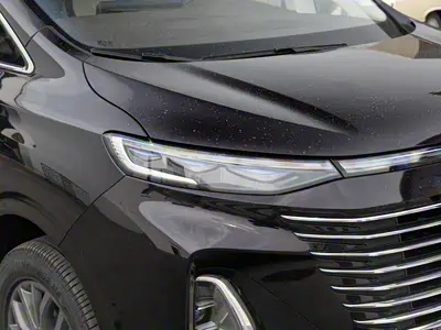 奔腾M9 2023款 2.0T 至尊型 奔腾 10/136张图片大全_汽车细节图库-汽车之家