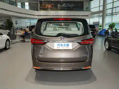 别克GL8 2023款 陆上公务舱 舒适型 别克 6/6张图片大全_汽车外观图库_琥珀金-汽车之家