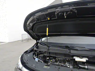 奔腾M9 2023款 2.0T 至尊型 奔腾 6/136张图片大全_汽车细节图库-汽车之家