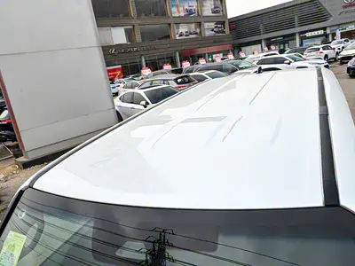 普拉多 2025款 2.4T 穿越BX版 5座 丰田 22/73张图片大全_汽车细节图库-汽车之家