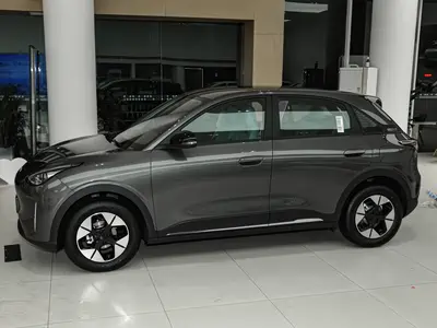 星愿 2025款 310km 梦想版 吉利银河 4/8张图片大全_汽车外观图库_松露灰-汽车之家