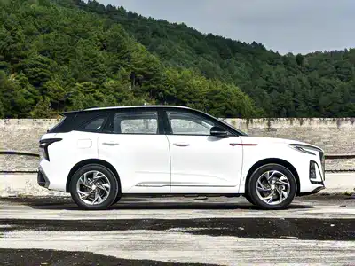 红旗HS3 PHEV 2024款 PHEV 115km 劲为版 红旗 31/54张图片大全_汽车外观图库-汽车之家