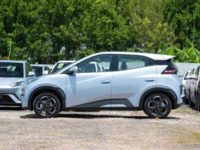 海鸥 2025款 305km 自由版 比亚迪 4/7张图片大全_汽车外观图库_北冰蓝-汽车之家