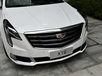 凯迪拉克XTS 2018款 28T 豪华型 凯迪拉克 17/85张图片大全_汽车细节图库-汽车之家
