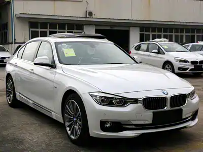 宝马3系 2017款 320Li 豪华设计套装 宝马 9/12张图片大全_汽车外观图库-汽车之家