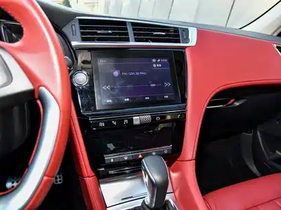 DS 4S 2018款 30THP 奢华型 DS 14/33张图片大全_汽车内饰图库-汽车之家