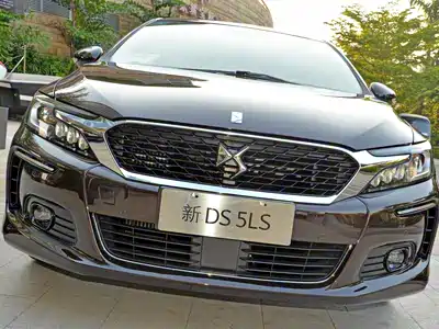 DS 5LS 2018款 30THP 奢华型 DS 3/31张图片大全_汽车细节图库-汽车之家