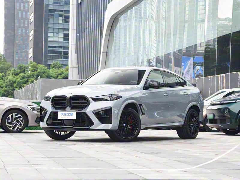 2020款 宝马X6 M 4.4T 自动 X6 M 9万公里保养项目费用-汽车之家